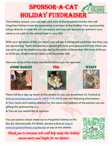 Sponsor a Cat - Forgotten Felines and Fidos, Inc.